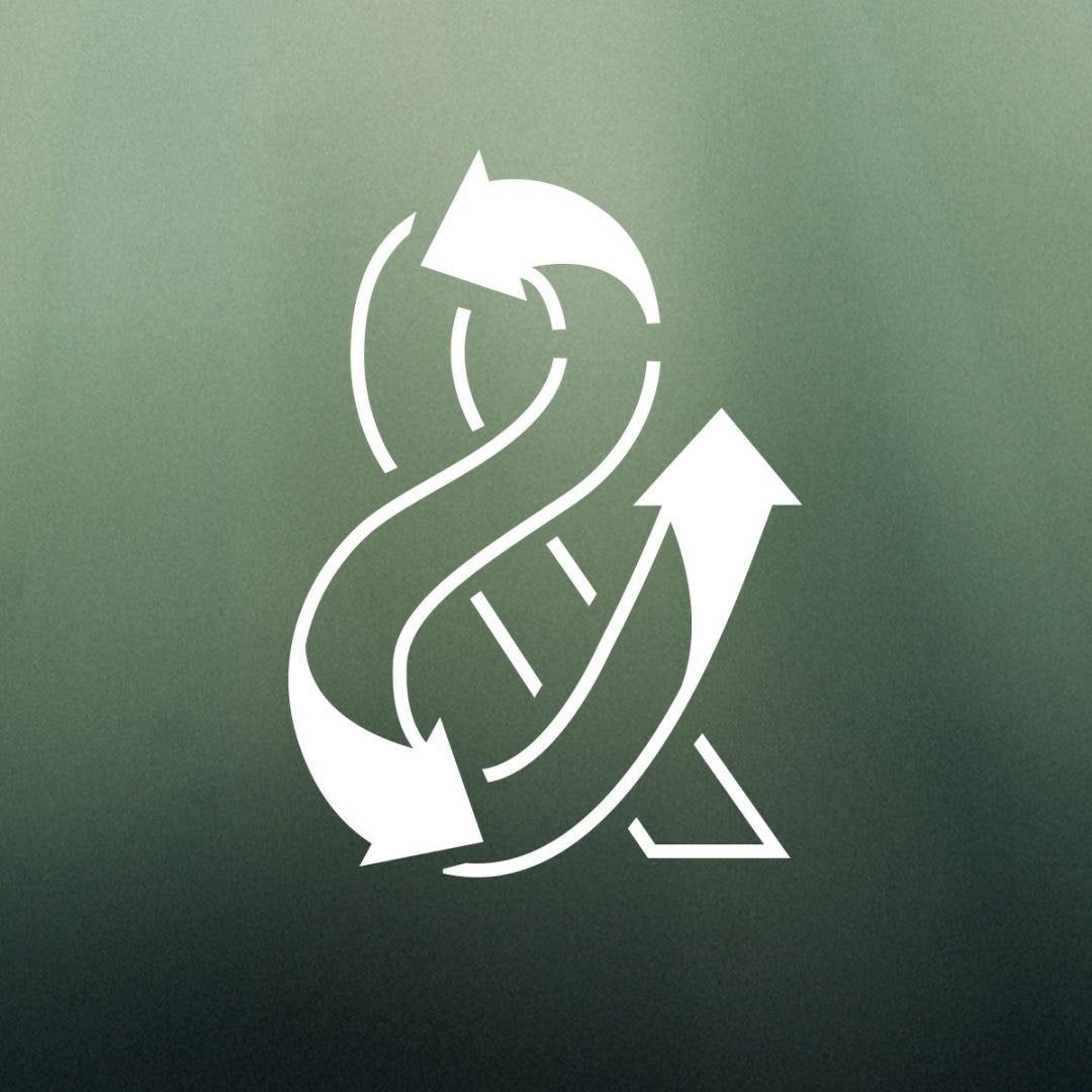 Harper Collective